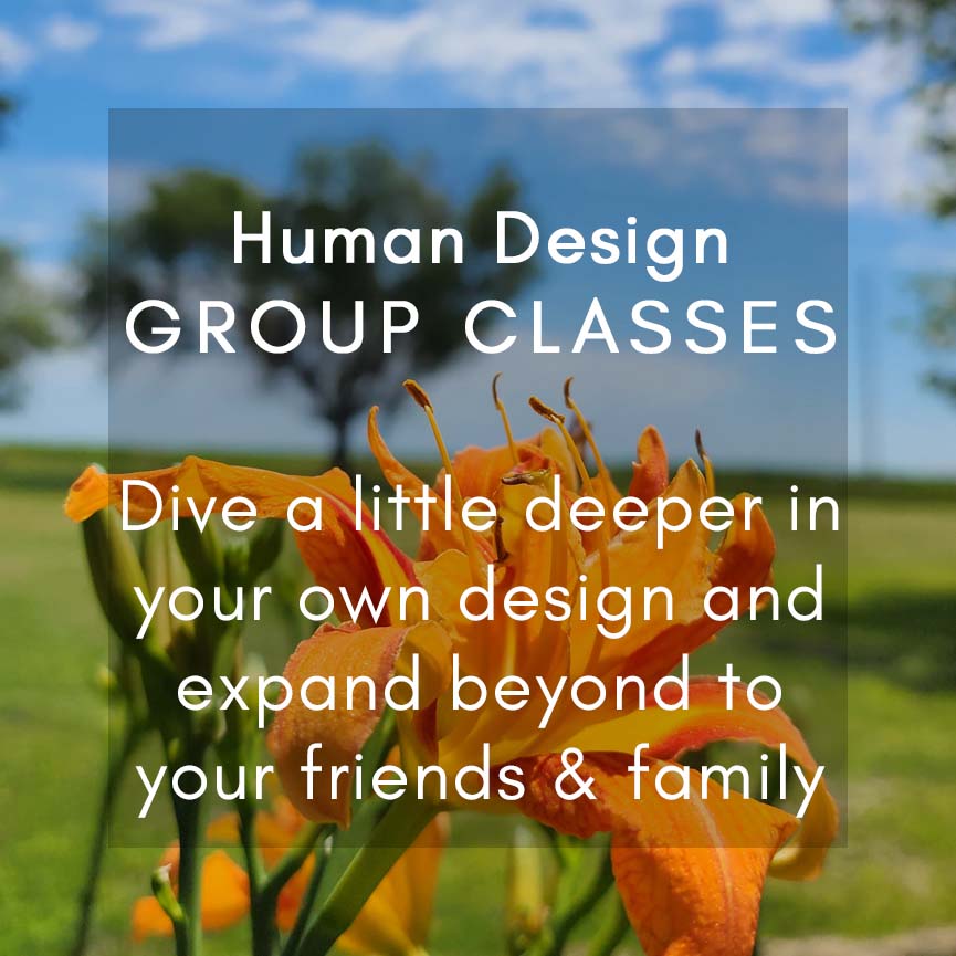Human Design Classes – Megan Soncksen Collective